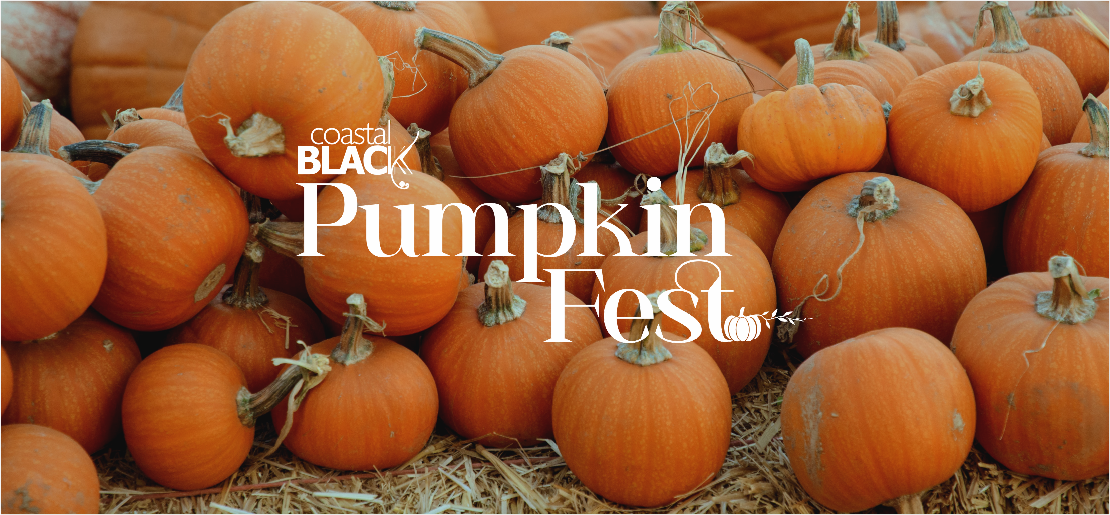 Pumpkin Fest 2025 – Coastal Black